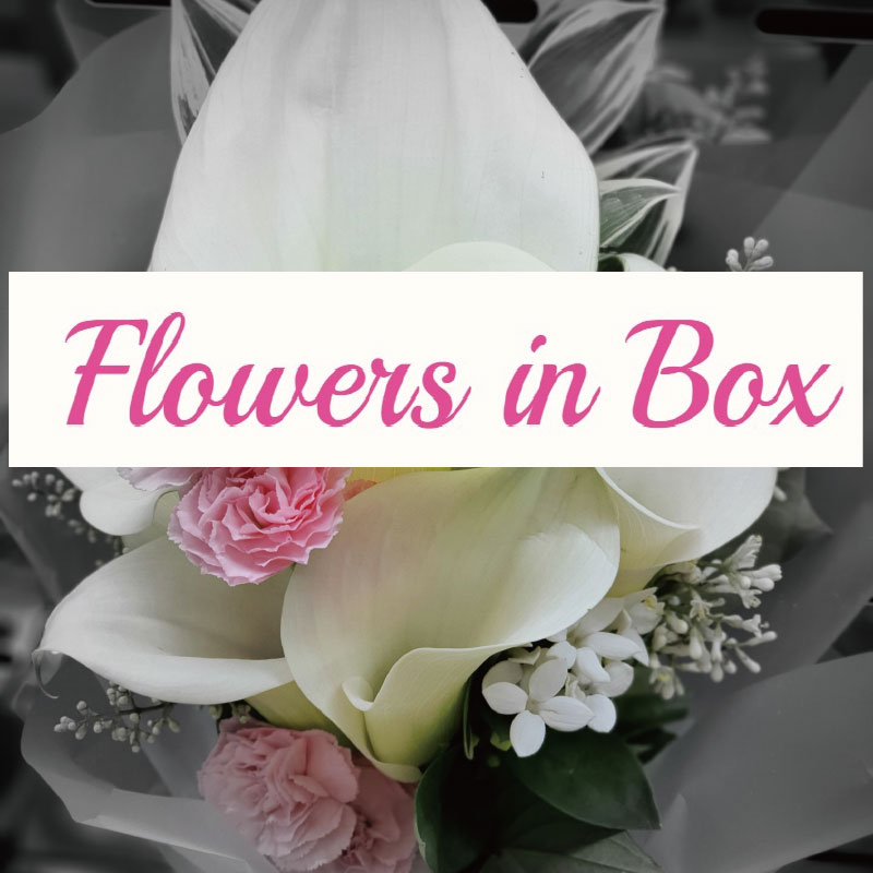 Flower in box to Korea ⋆ Send boxed flowers to Korea, 꽃 상자 선물